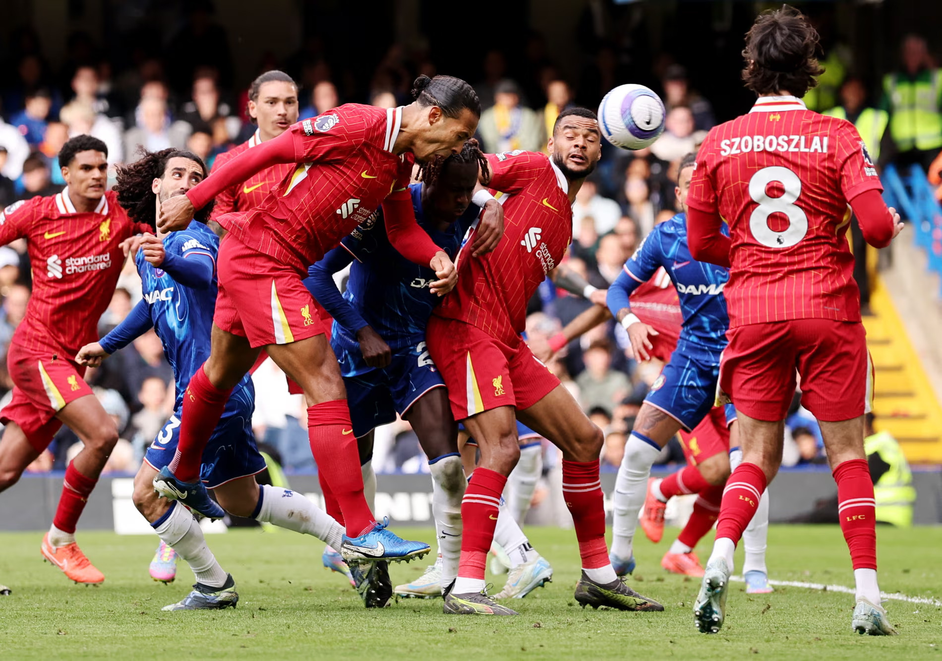 Cucumber Season - American Scouser